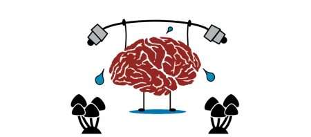 My Experience On The Paul Stamets Microdosing Stack | James W. Jesso